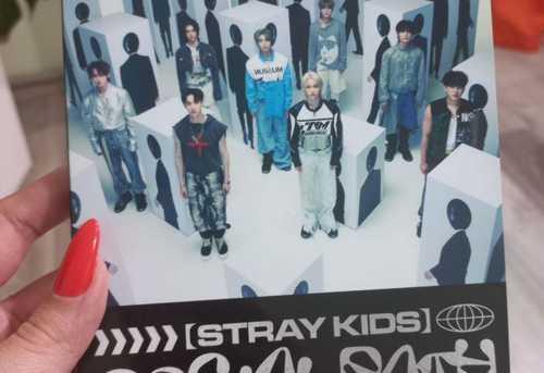 Диск Stray kids social path