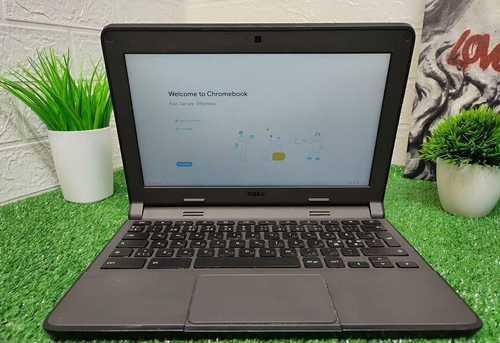 Ноутбук Dell Chromebook 11 n2840/2gb/SSD16gb