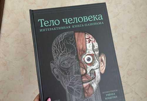 Тело человека. Интерактивная книга-панорама