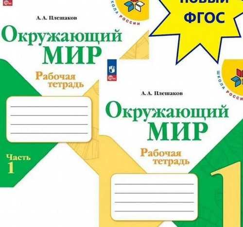 Рабочая тетрадь по Окружающему миру 1 класс