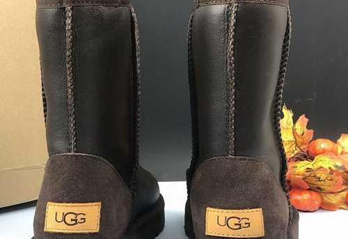Угги Ugg Classic Short Metallic Chocolate