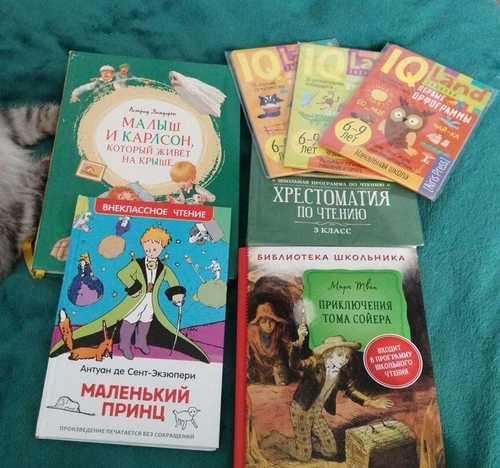 Книги 3,4 класс