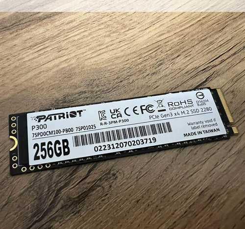 256 gb ssd m.2 patriot p300