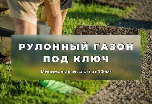 Укладка и продажа рулонного газона