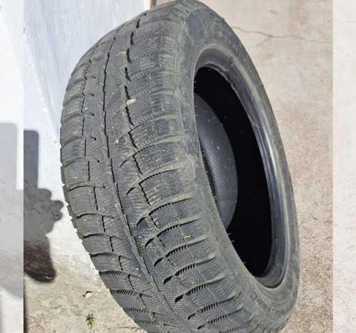 Cordiant Polar SL 205/55 R16