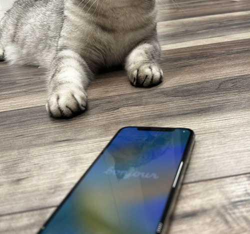 iPhone X, 256 ГБ