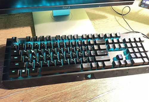 Razer Blackwidow X Chroma