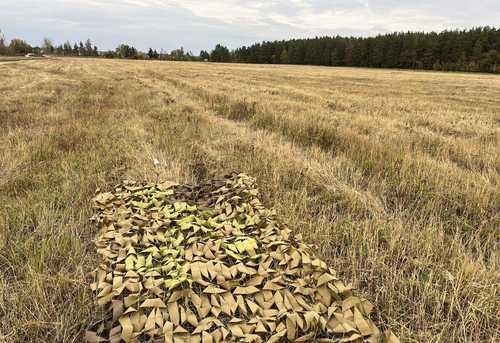 Маскировочная сеть от производителя