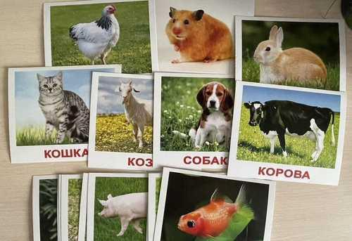 2х сторонние карточки Домана «Домашние животные»