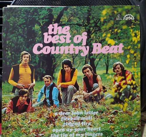 Пластинка The Best Of Country Beat 1972