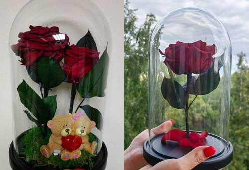 Розы цветы подарки в колбе, стекле, флорариум, от