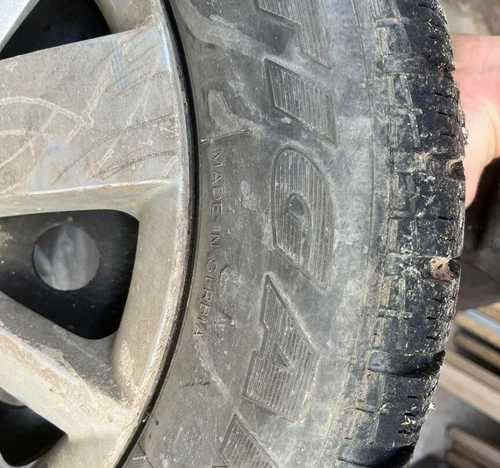 Tigar Sigura Stud 175/65 R14