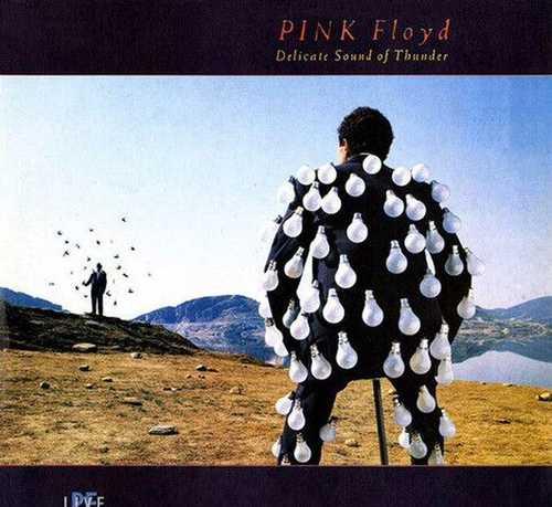 Pink Floyd / Delicate Sound Of Thunder (2LP)