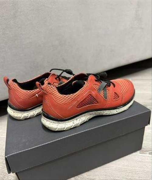 Кросовки ecco 31