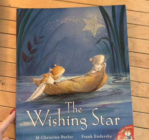 Книга The Wishing Star на английском языке