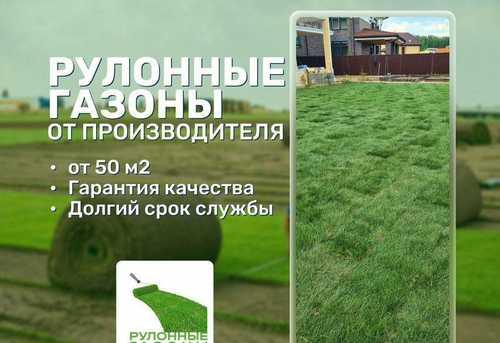 Рулонный газон. Универсален для любой задачи