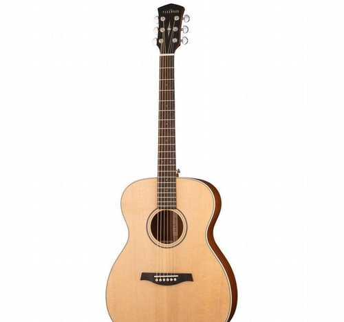 Parkwood S22-GT Акустическая гитара, чехол