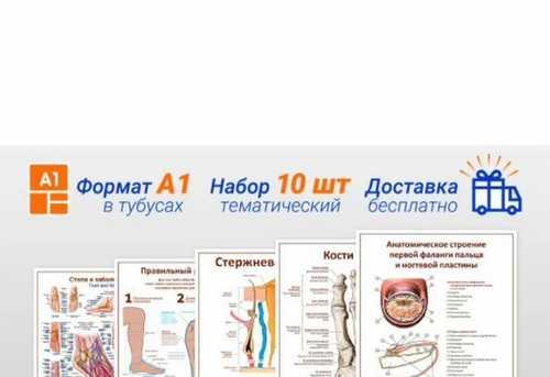 Набор плакатов для подологов (10 шт)