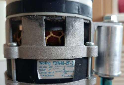Циркуляционный насос Welling 48-2F-3 и 50-2F-2