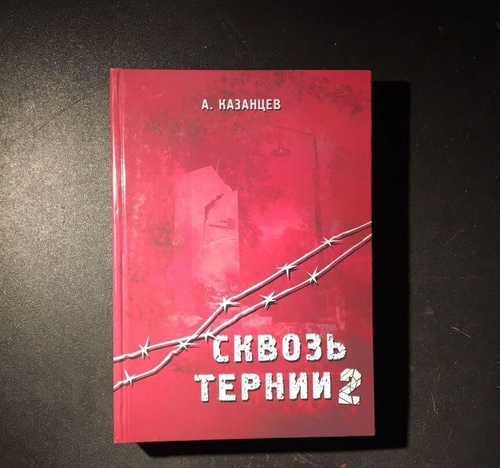 Сквозь тернии 2. Казанцев А