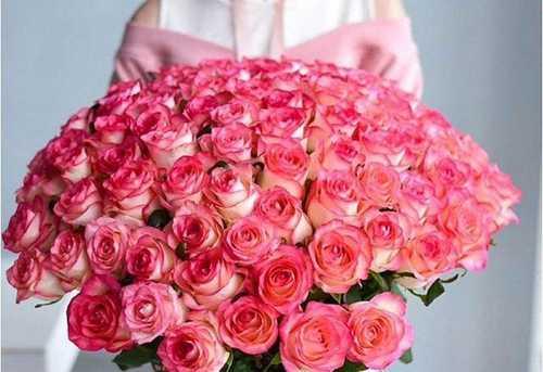 Цветы розы бело-розовые с доставкой
