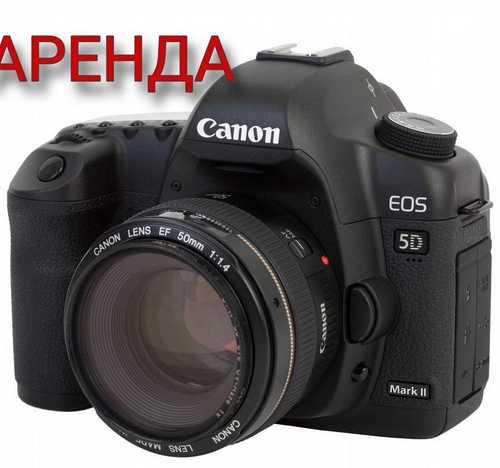 Аренда Canon 5D mark ii