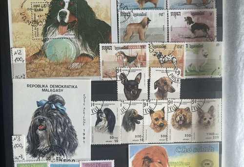 Почтовые марки на тему «Фауна» + динозавры
