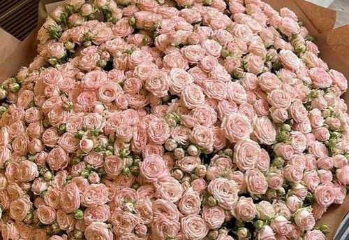 Кустовые пион.розы букет цветов с доставкой