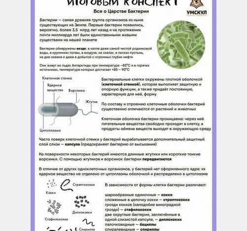 Конспекты ЕГЭ и ОГЭ биология