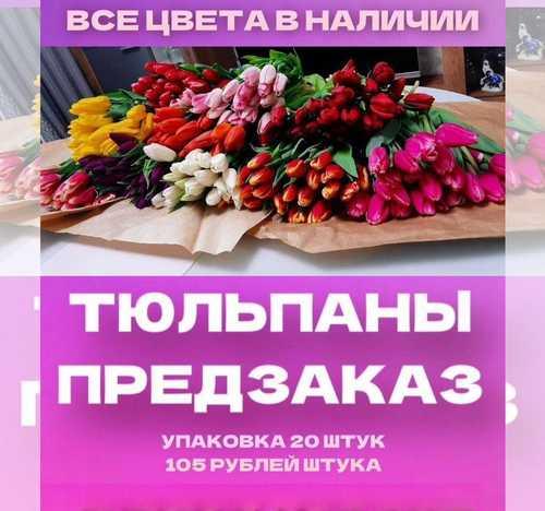 Тюльпаны к 8 марта