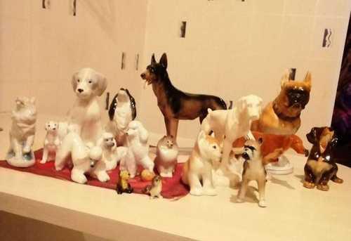 Статуэтки собак из личной коллекции