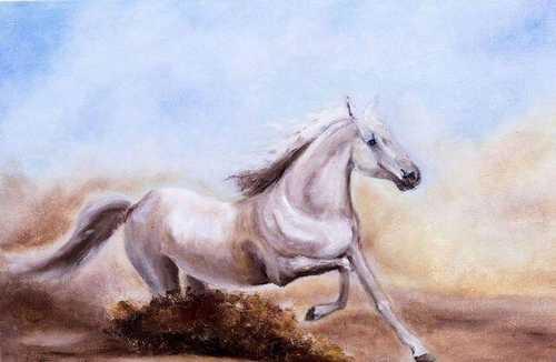 Картина маслом на холсте "Белый конь на свободе"