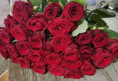 Розы букет цветов