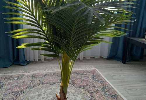 Искусственная пальма бу