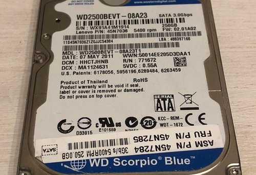 Жесткий диск HDD WD Scorpio Blue 250GB