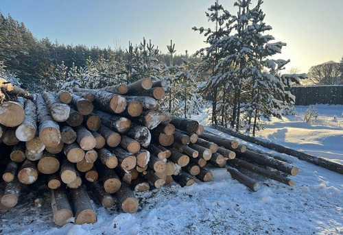 Дрова, колотые,пиленые, сосновые