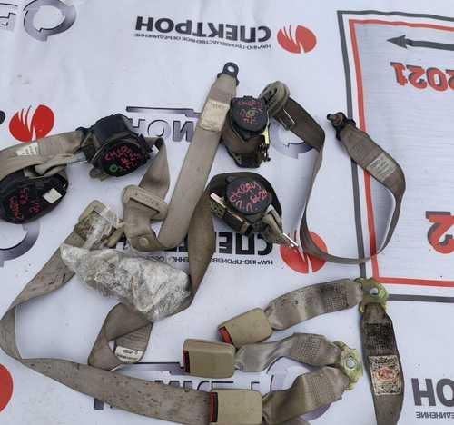 Ремни безопасности Cherry amulet a15