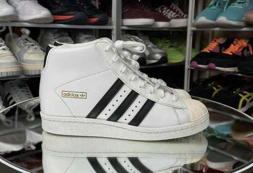 Adidas Superstar Up