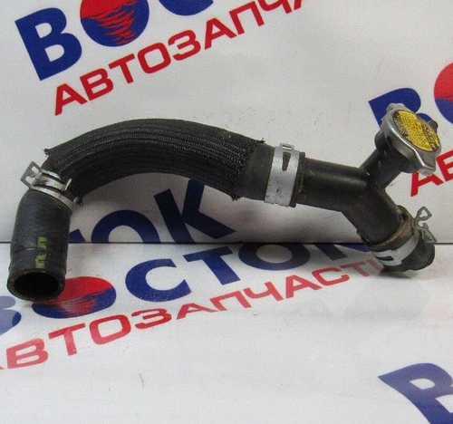 Патрубок радиатора Верх toyota probox NCP160V, NCP165V 1NZ-FE