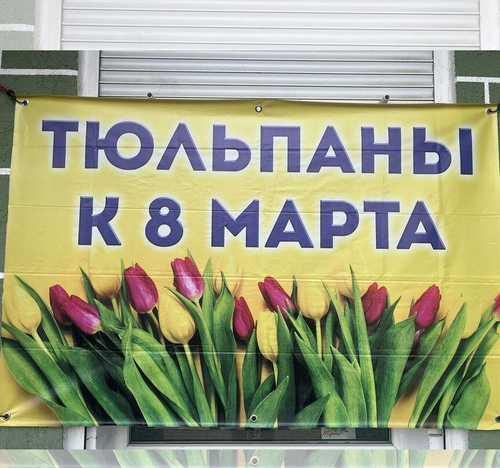 Тюльпаны к 8 марта