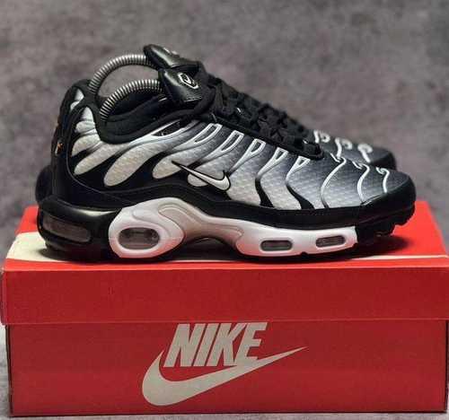 Кроссовки Nike Air Max Tn Plus