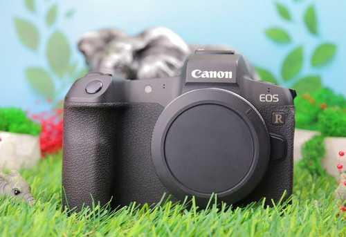 Canon EOS R Body ID194