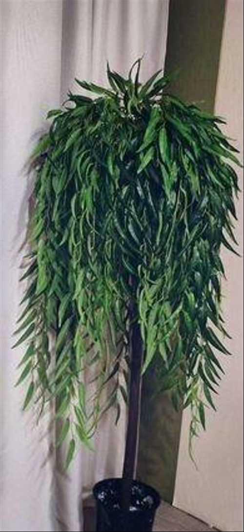 Искусственное растение дерево цветы