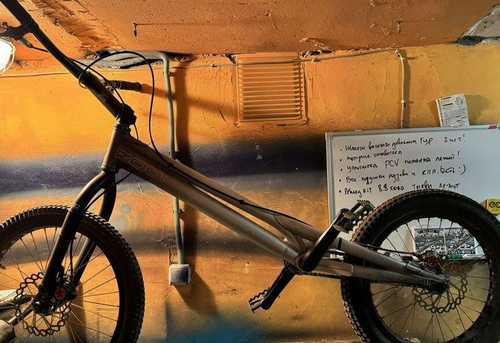 Триальный велосипед Echo zoo