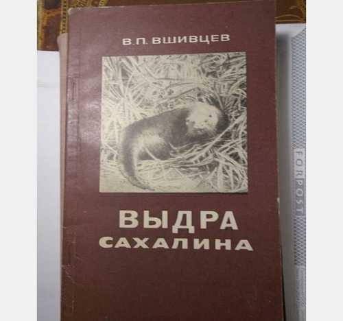 Вшивцев В.П. Выдра Сахалина (1972)