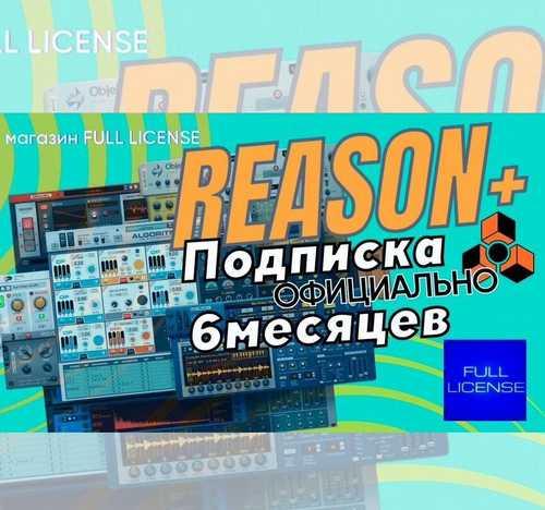 Reason Plus Studios 6 месяцев подписка