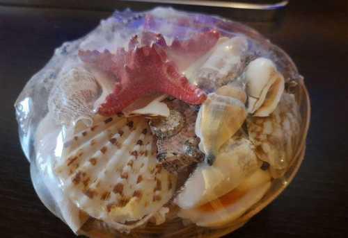 Морские ракушки раковины разные, 18см корзинка