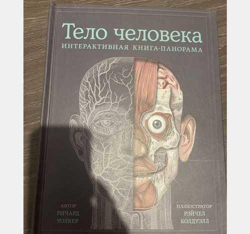 Интерактивная книга тело человека