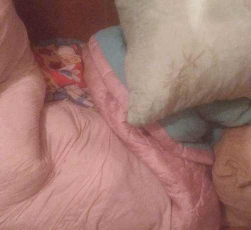 Одеяла и подушки б/у