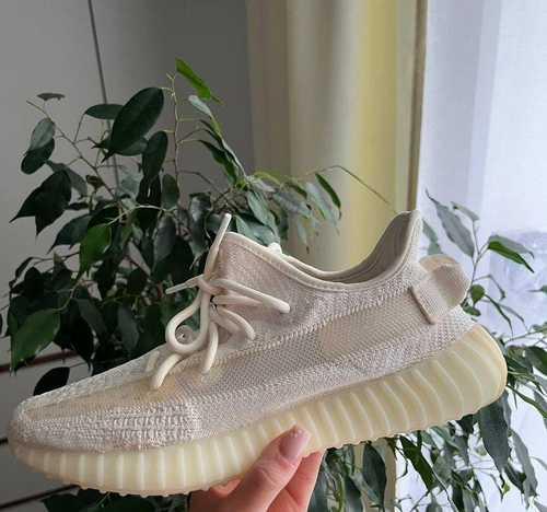 Adidas Yeezy Boost 350 v2 Bone